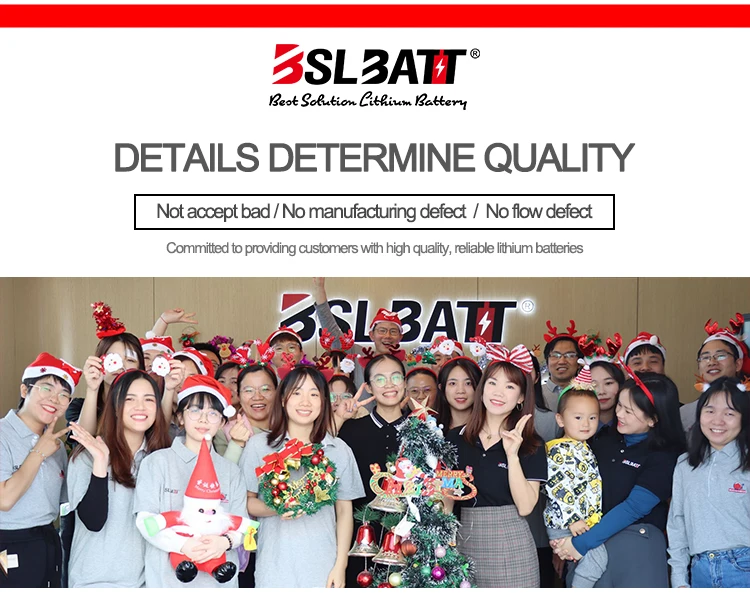 Bslbatt Battery Charger 24v 30a Ride On Car Kids Electric 24v ...