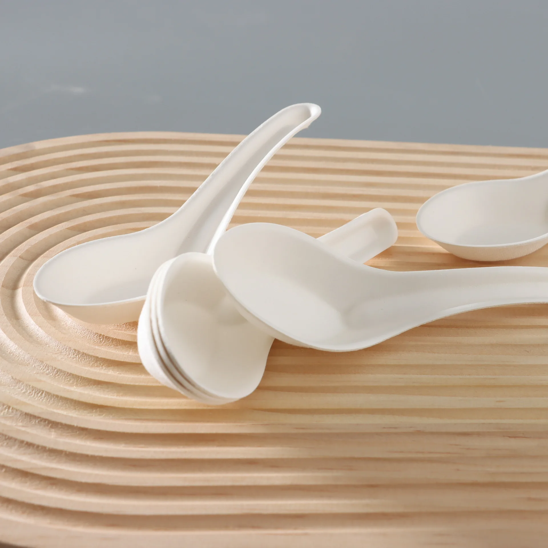 Wholesale Eco-friendly Biodegradable Cutlery Sugarcane Bagasse Paper ...