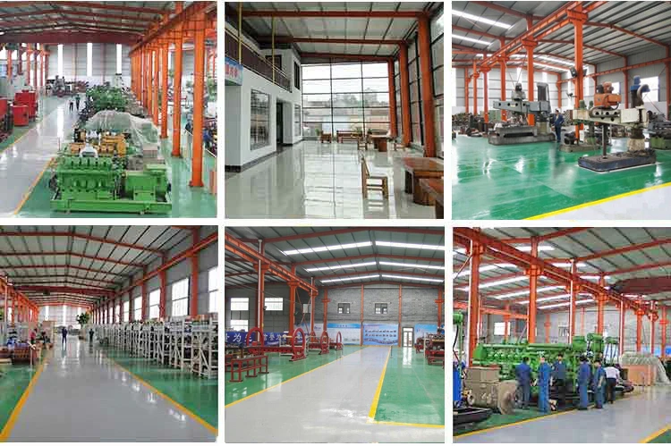 10kw-5mw CHP Cogeneration Diesel Generators by LVHUAN