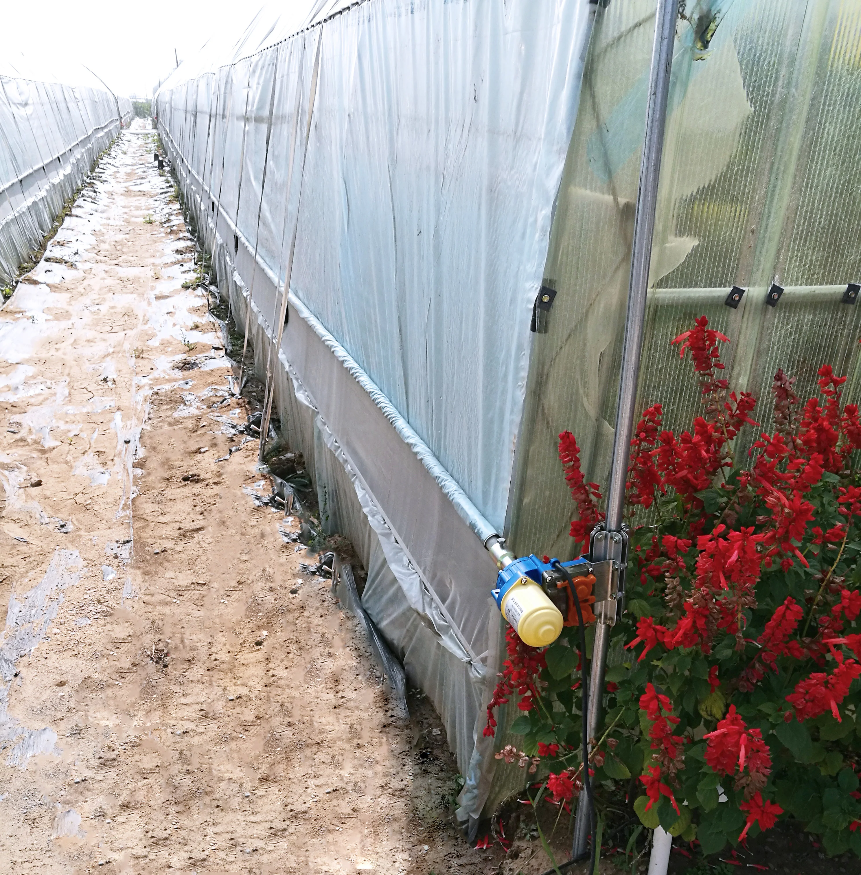 MAXPOWER Greenhouse Roller Motor DC24V Side Roof Ventilation Electric ...