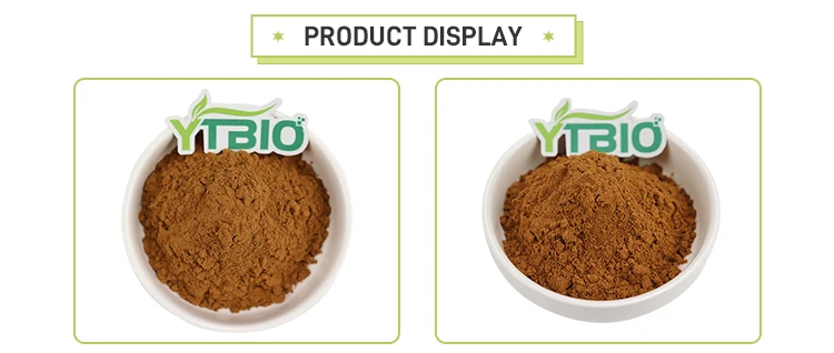 Amla Extract Indian Gooseberry Phyllanthus Emblica Extract Amla Fruit ...