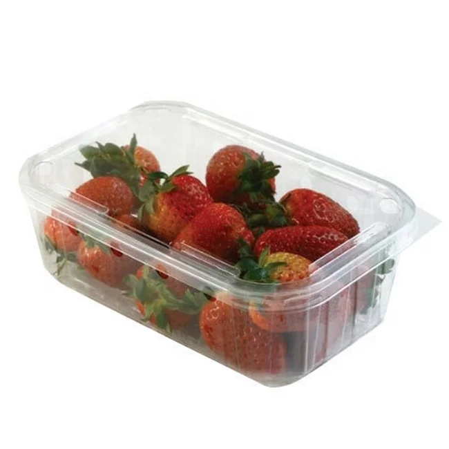 Wholesale Safe Disposable Transparent Fruits Packaging Plastic PET ...