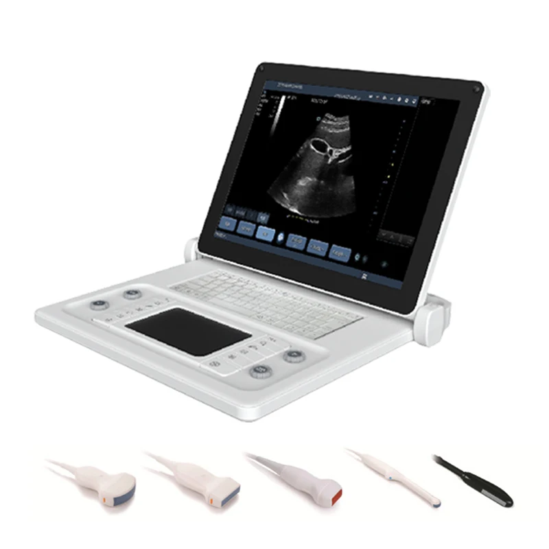 Ge Vscan Air Portativ Stimuplex Siui Clarius Lumify Emp Ultrasound ...