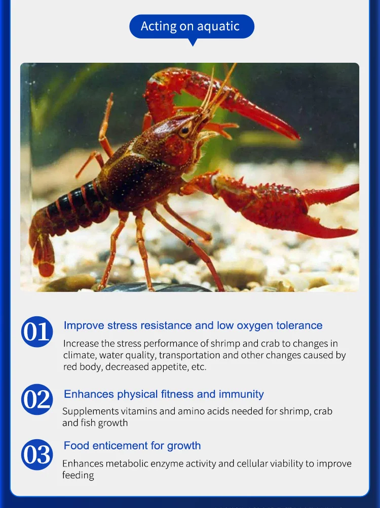 Animal Vitamin Supplements Rich In Various Vitamins And Minerals - Buy ...
