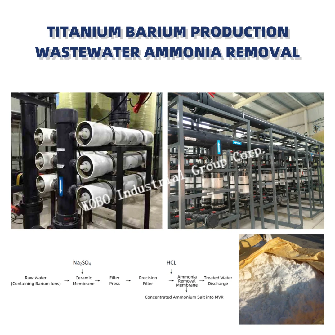 ASME High Performance Ammonia Nitrogen Wastewater Treatment