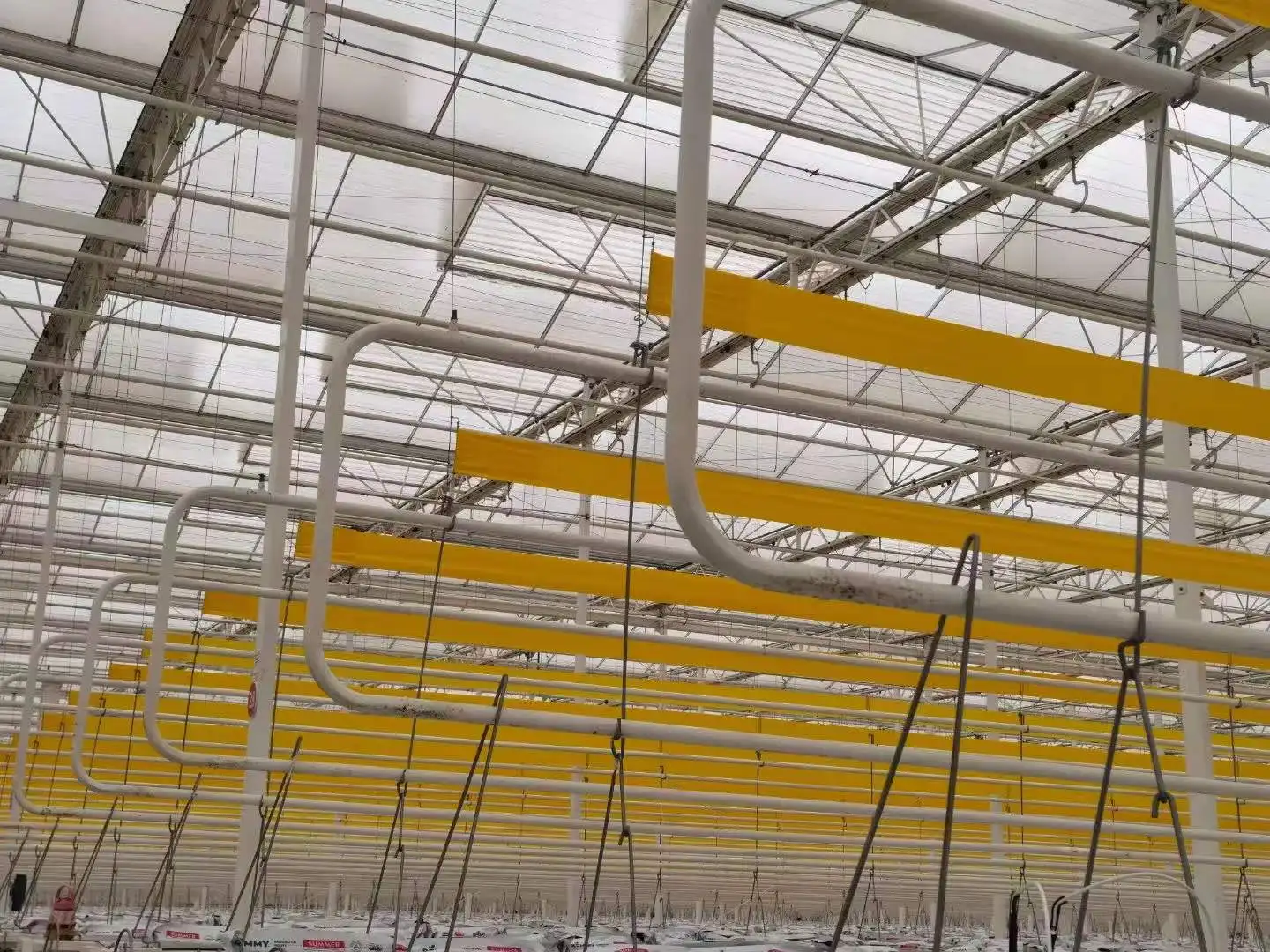 Yellow Double Sided Glue Covered Sticky Roll Traps Bugs