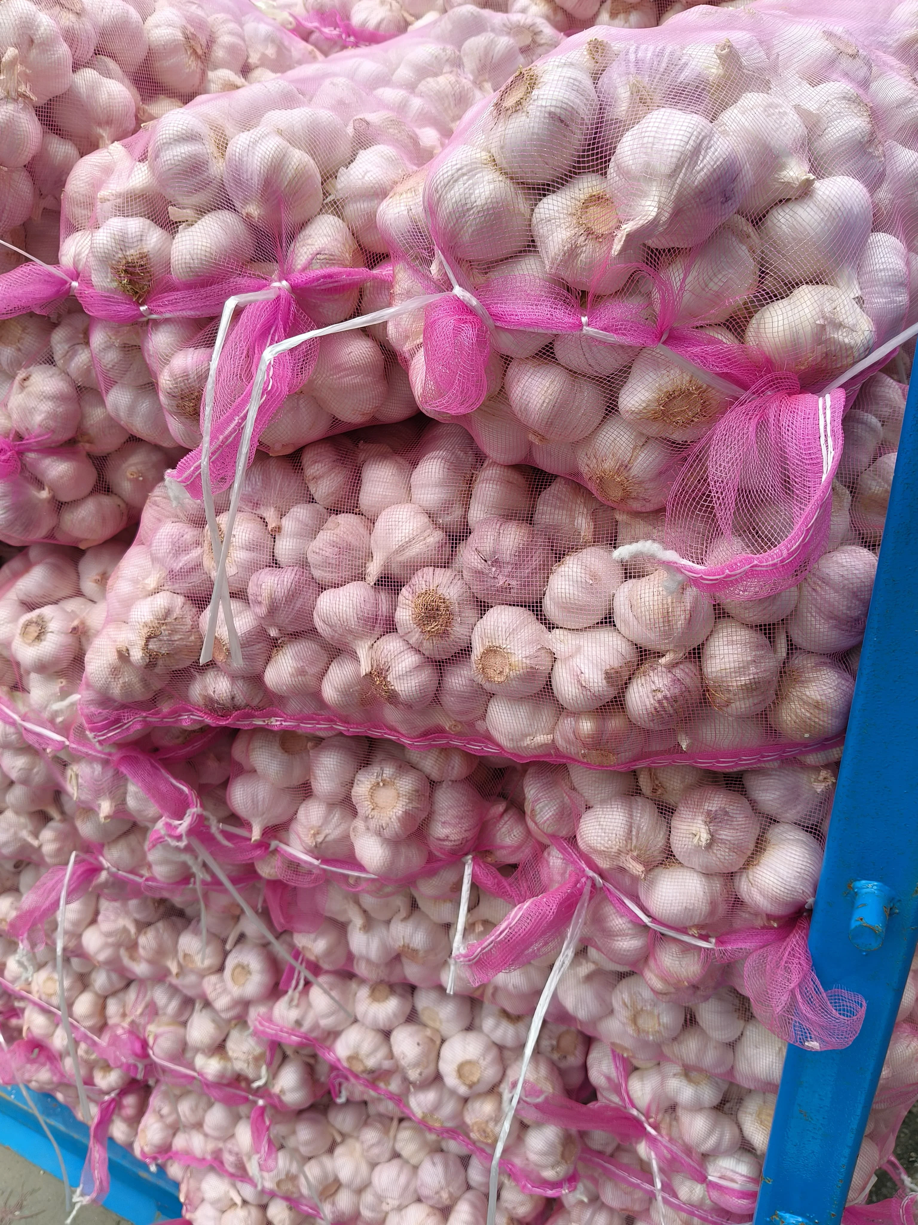 Fresh Garlic Chinese New Crop 2025 Ail Supply As Garlic Normal White ...