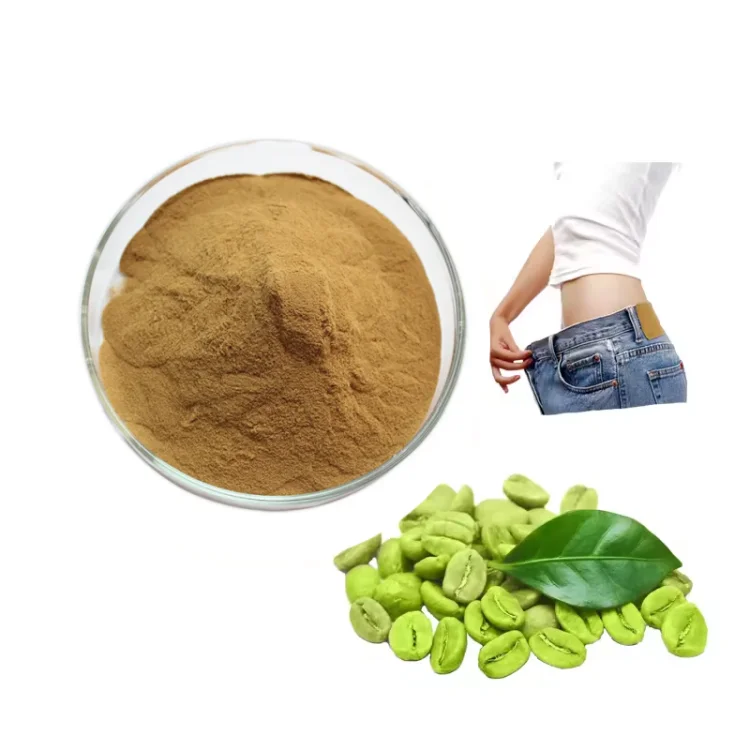 Wholesale Factory Price Green Coffee Bean Extract Powder Chlorogenic ...