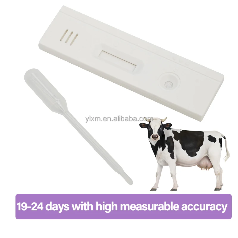 Cow Early Pregnancy Test Kit - Colloidal Gold Test Strip for Cattle ...