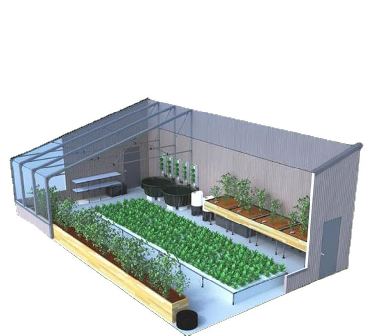 Aquaponics System Design for Commercial Fish and Plant Grow