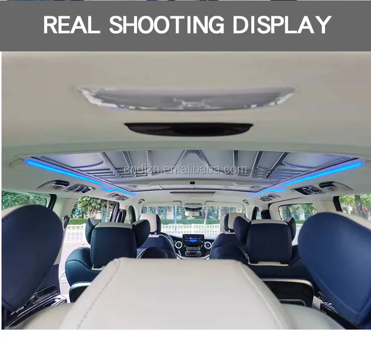 Luxury Car Interior Lighting - Double Pole Lights for MPV