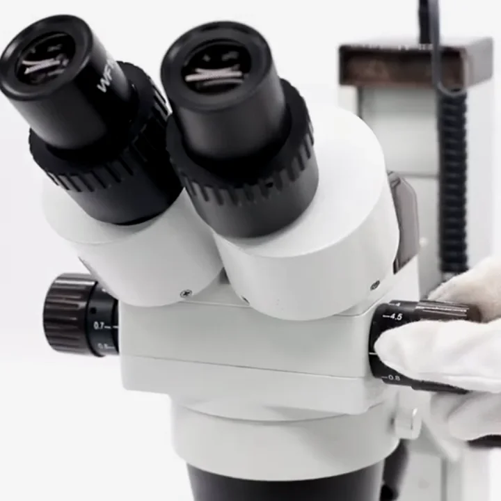 Lhbxtzd Easy Operation Laboratory Stereoscopic Microscope Equipment ...