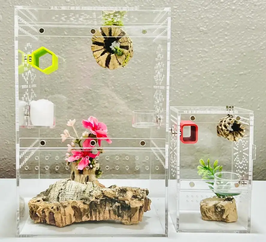 Yageli Custom Acrylic Tarantulas Enclosures Reptile Cribs Breeding Box ...