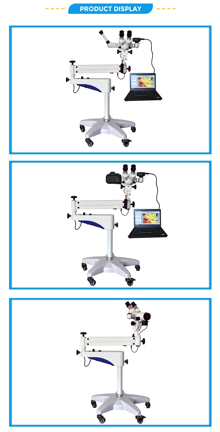 High-end Medical Digital Binocular Microscope Hd Removable Vertical ...