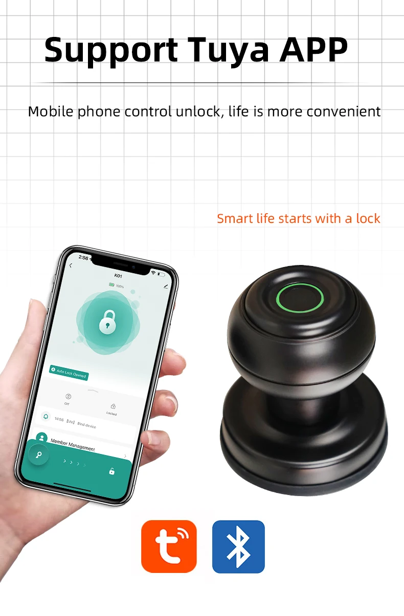 High Security Free Shipping Blue Tooth Front Door Lock Fingerprint ...