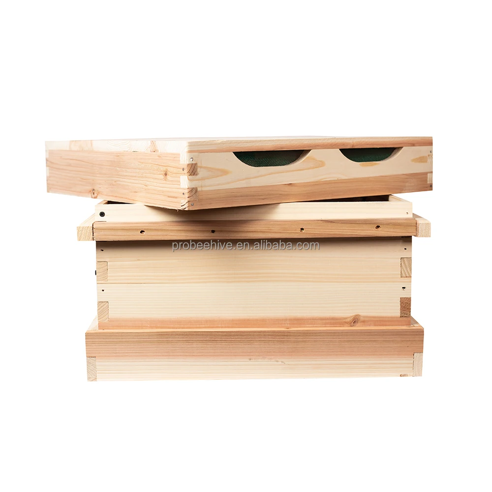 Two Layers Korean Beehive Box For Beekeeping - Buy Two Layers Beehive ...