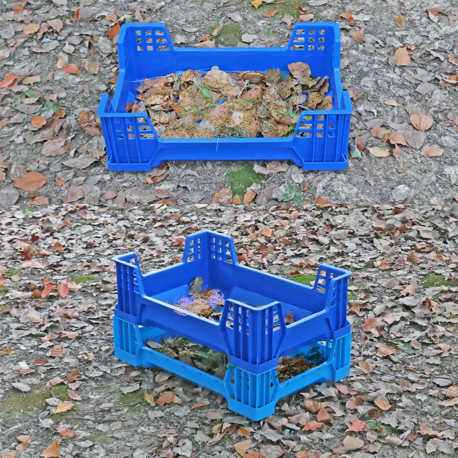 Stackable Insect Breeding Boxes - Durable & Customizable