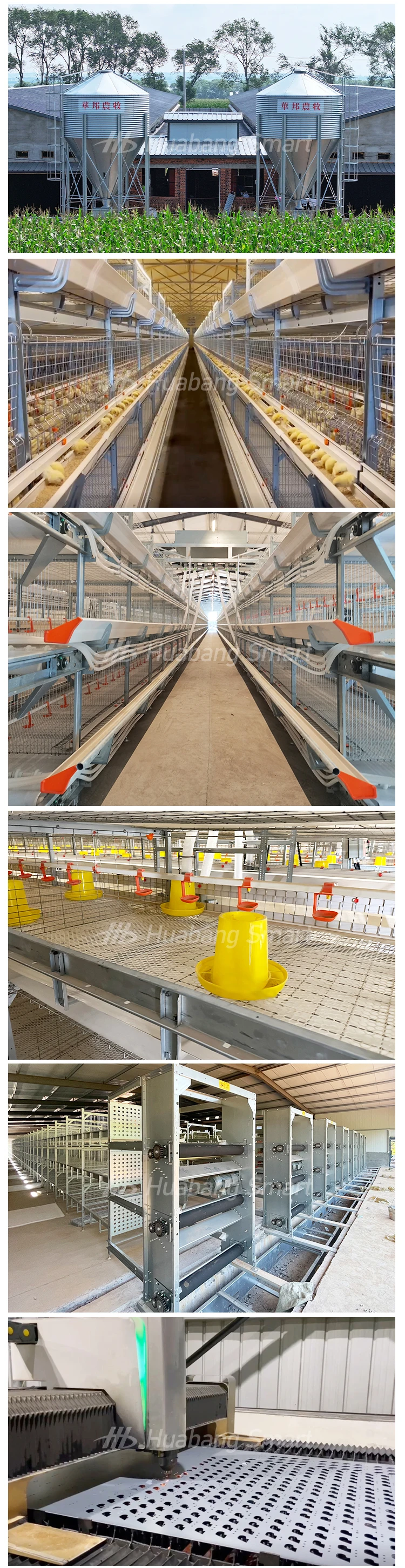 H-type Poultry Cage System for Layer Chickens - Durable & Automatic