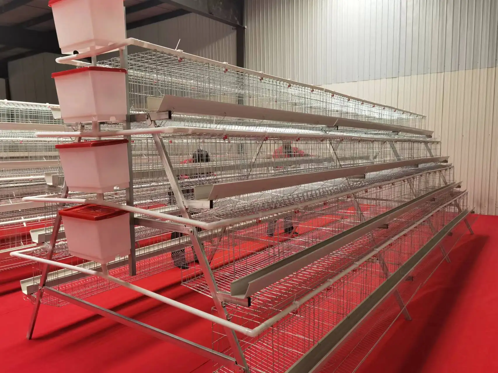 Automatic Chicken Cages for Layer Poultry Farms - H Type