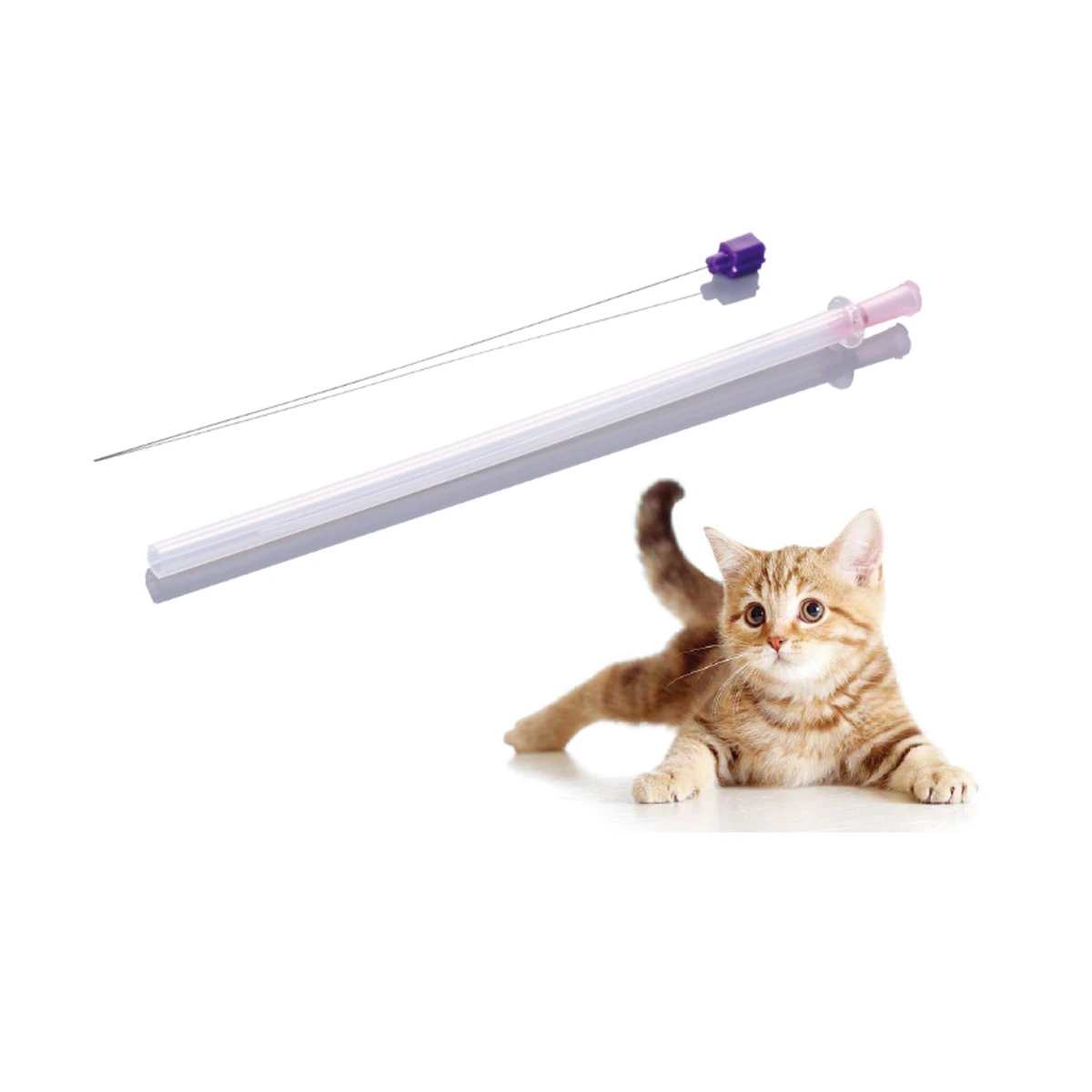 Medical Cat Catheter Pet Urine Catheters With Stylet| Alibaba.com