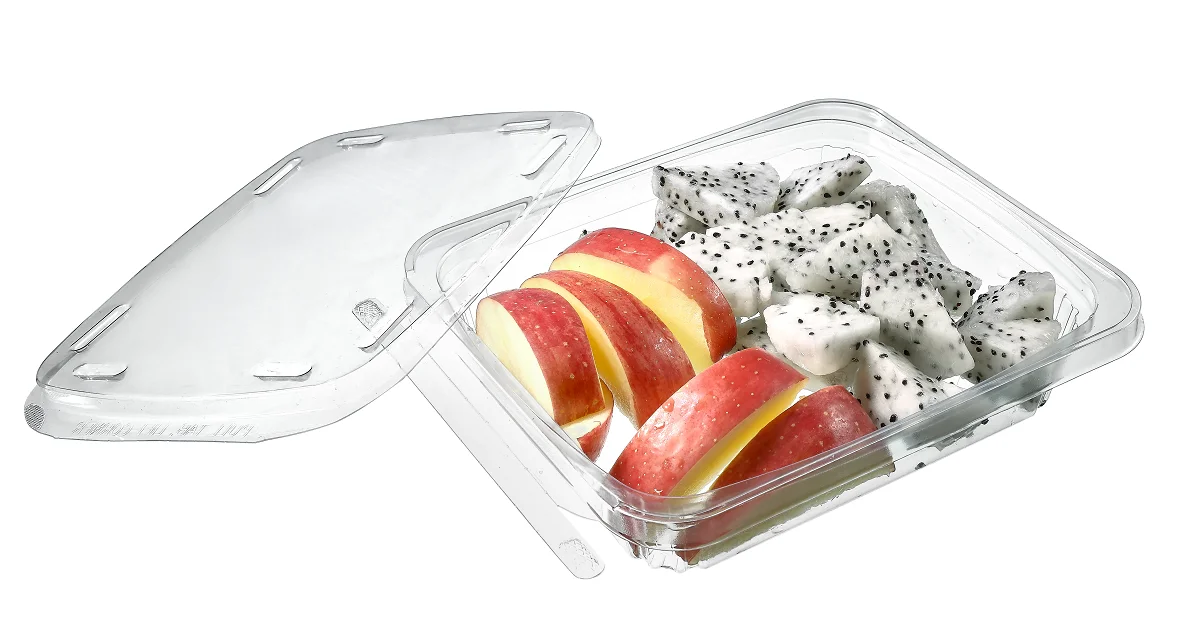 Disposable Plastic Rectangle Fresh-cut Fruit Salad Container Vegetable ...