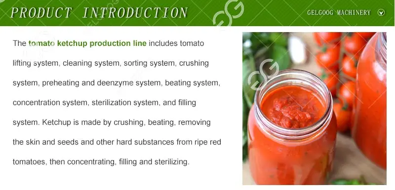 High Efficiency Tomato Ketchup Production Line in Guangzhou
