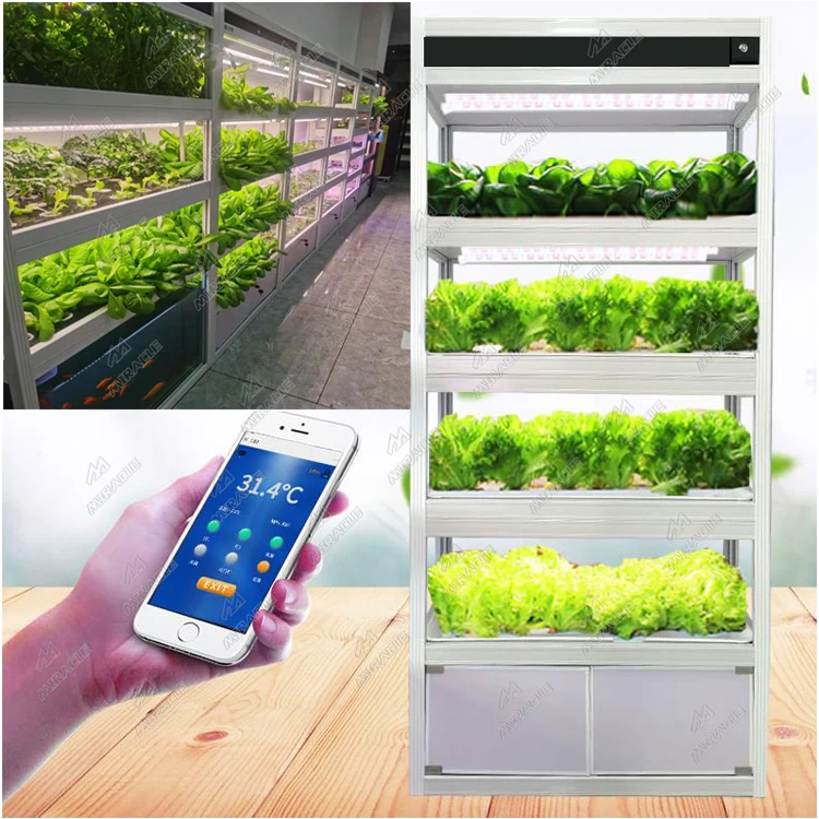 Fresh Vegetable Growing Machine Small Hydroponic System for Planting ...