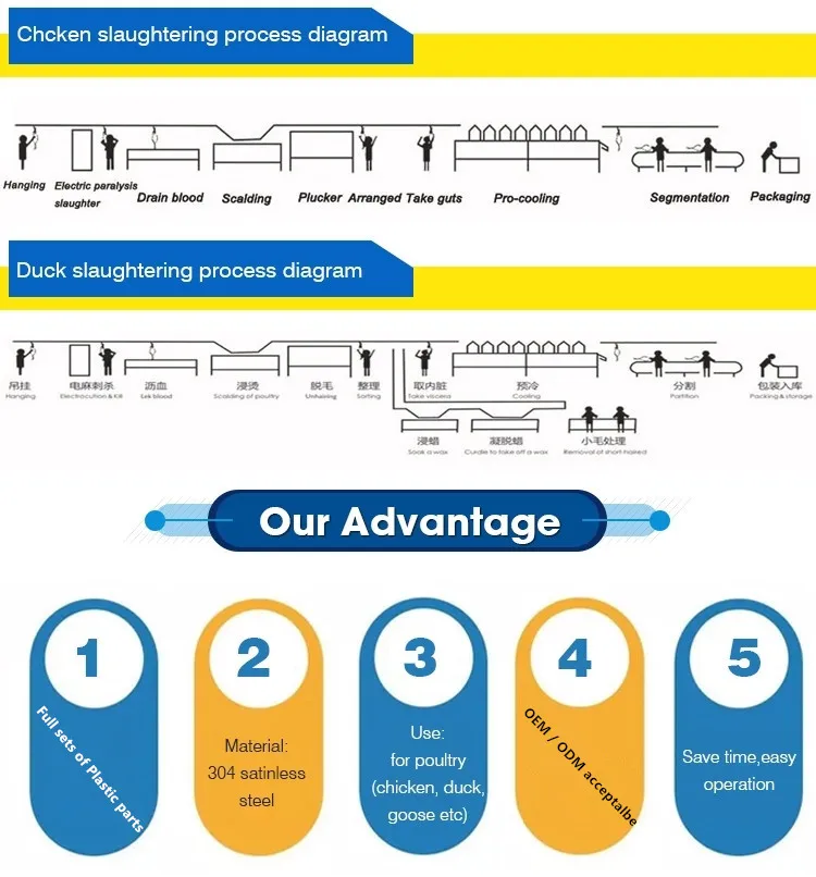 Combined Gear Ring Group of Poultry Slaughtering Assembly Line for ...