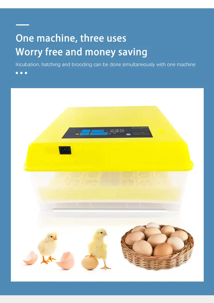 Hhd Intelligent Control Ce Approved 112 Eggs Incubator 12 Months Fully ...