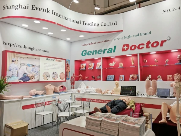 Medical Science Anal And Vaginal Female Examination Simulator Gd/fw3 ...