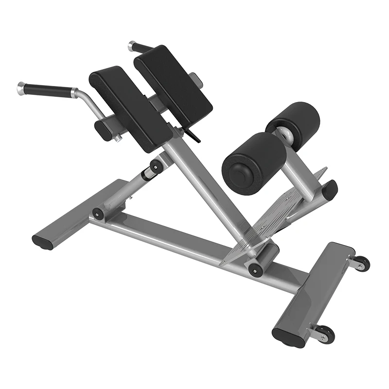 Professional Gym Equipment Body Building Roman Chair For Selling - Buy ...