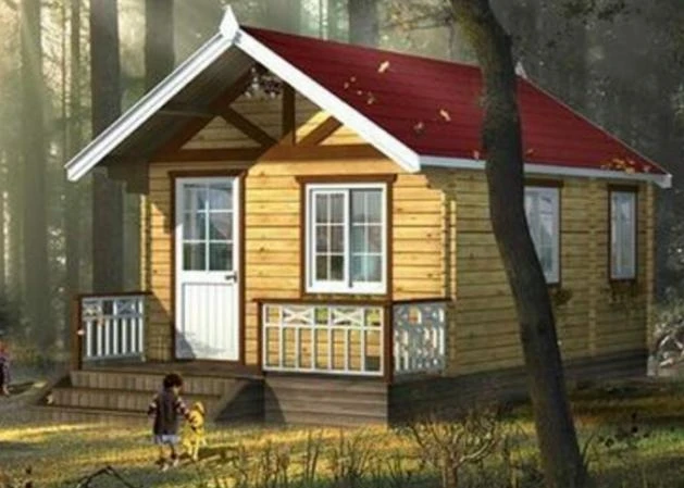 Eco-friendly Tiny Home - Modern Outdoor Wooden House