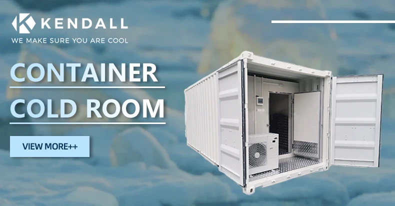 20ft Container Cold Storage/ 40ft Cold Room In Container Cold Room ...