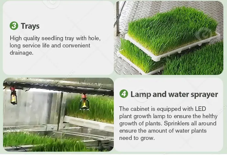 Fully Automatic Farm System for Hydroponic Forage Mushroom Fodder Growing