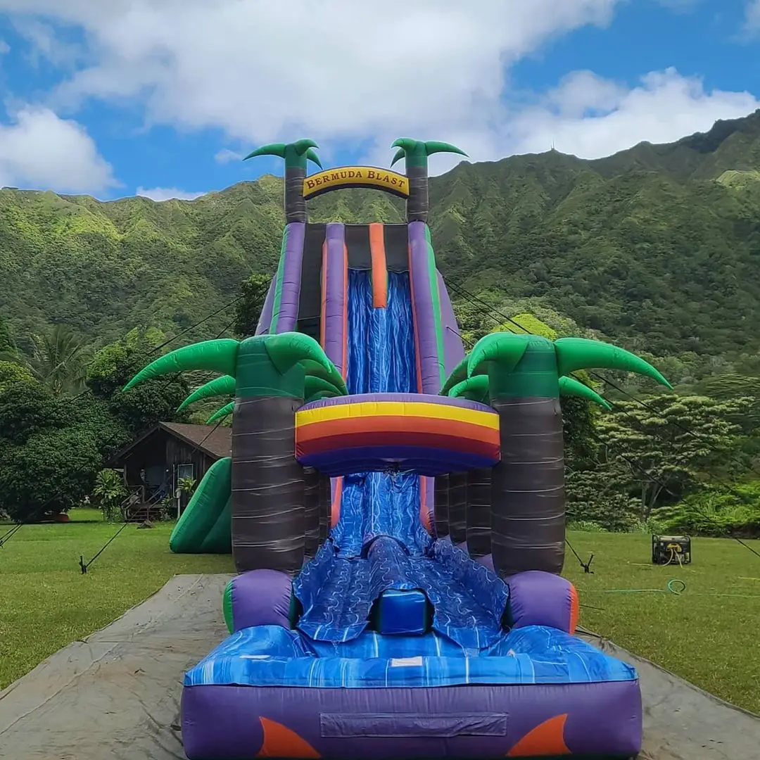 Commercial Giant Inflatable Water Slide With Pool Cheap 30ft Inflatable ...