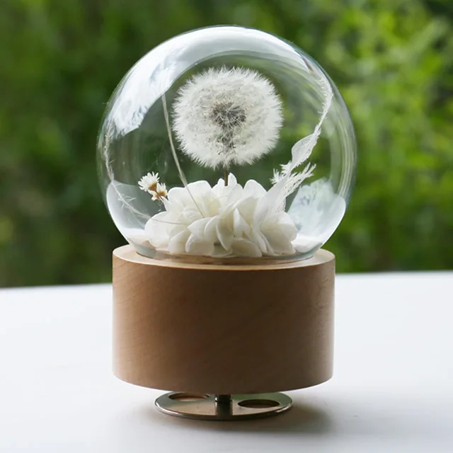 Beauty And The Beast Rose In Glass Dome With Led Real Preserved Eternal ...