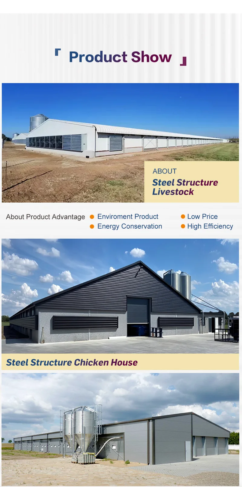 Modern Design Commercial Egg Chicken House Cheap Steel Structure ...