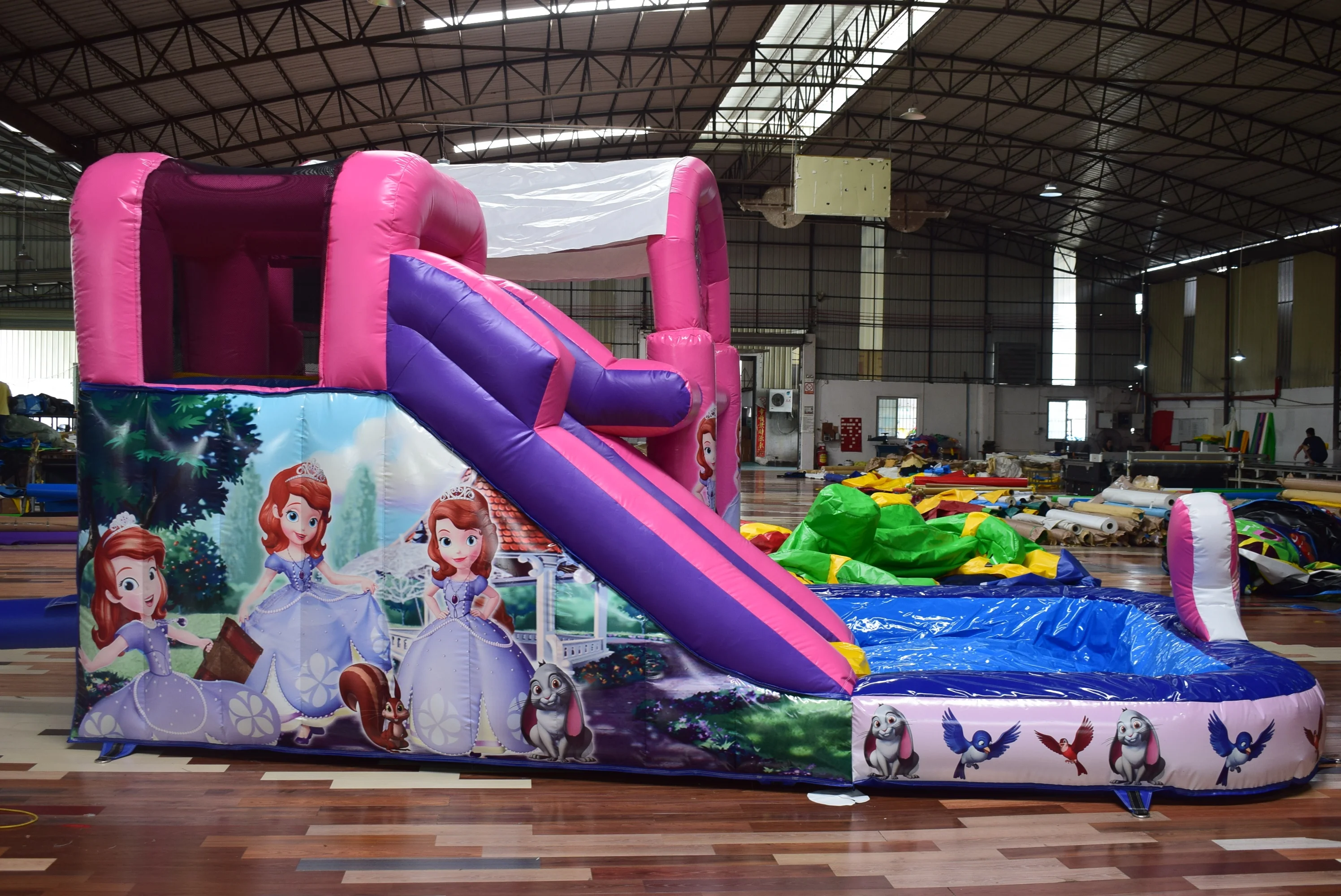 Children's Cartoon Princess Sophie Slides Combo Inflatable Swimming ...