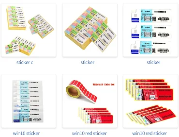 Win 10 Pro Oem Sticker 100% Online Activation License Key 12months ...