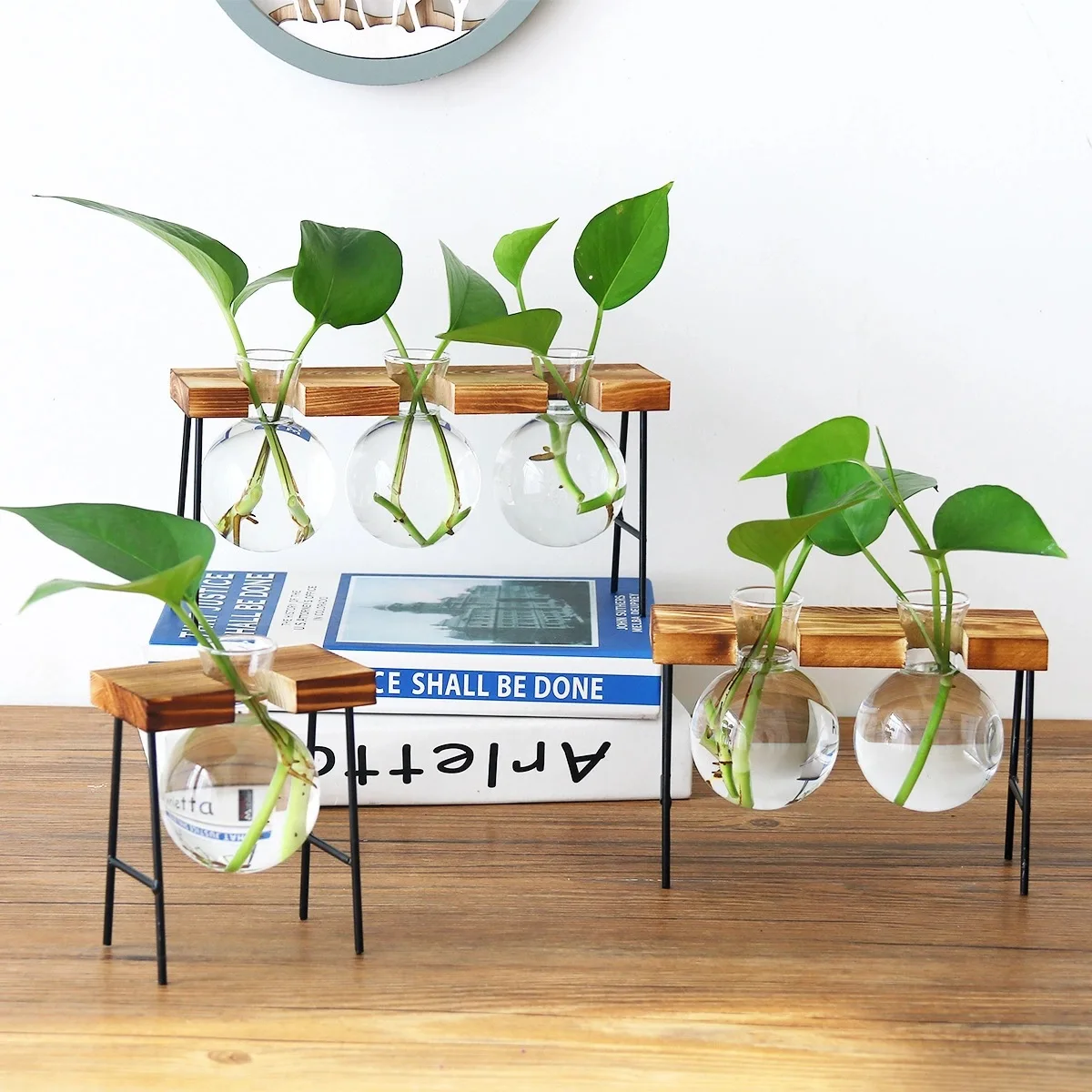 Hydroponic Glass Vase - Perfect for Home and Office Decor