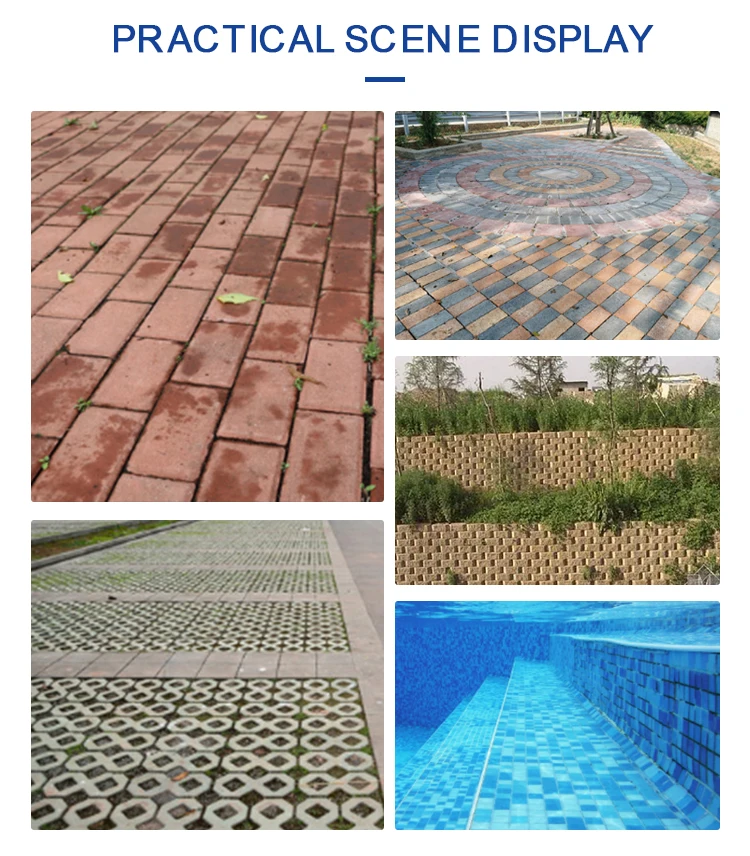 Interlocking Paver Plant With Installation Guide| Alibaba.com