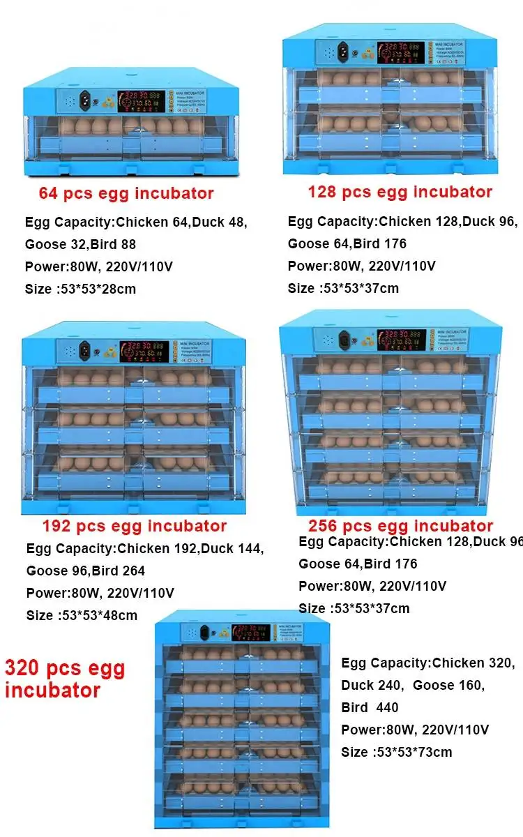 Automatic Egg Hatching Machine - High Productivity & Reliability
