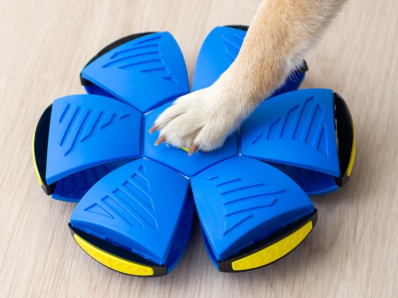 Hipidog 16cm Eco Friendly Disc Durable Red Blue Interactive Flying ...