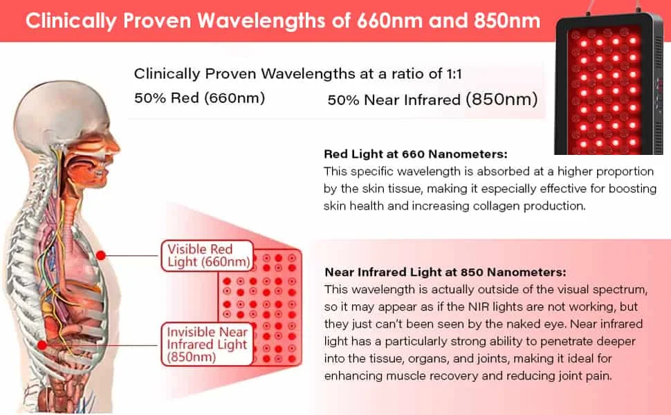 432 Led 3000w Dual Chip Red Light Panel Bed 4 Wavelength Pdt Machine ...