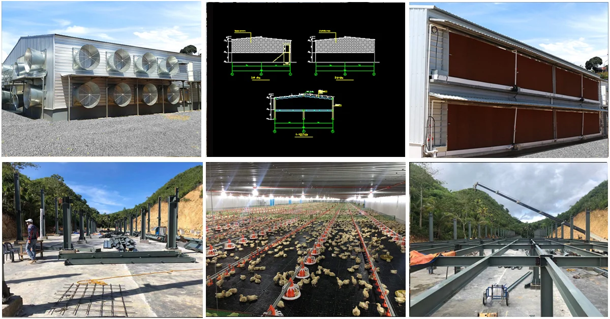 FM Prefab Poultry Closed House System - Efficient & Durable