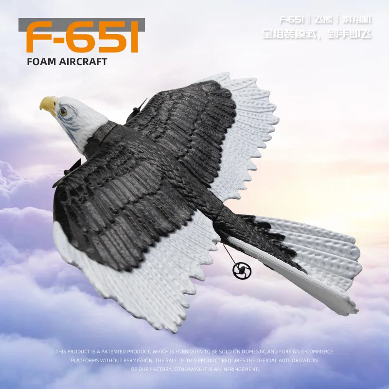 Beginners Boys Kids Remote Control Eagle Airplane Toys,Aircraft 2.4ghz ...