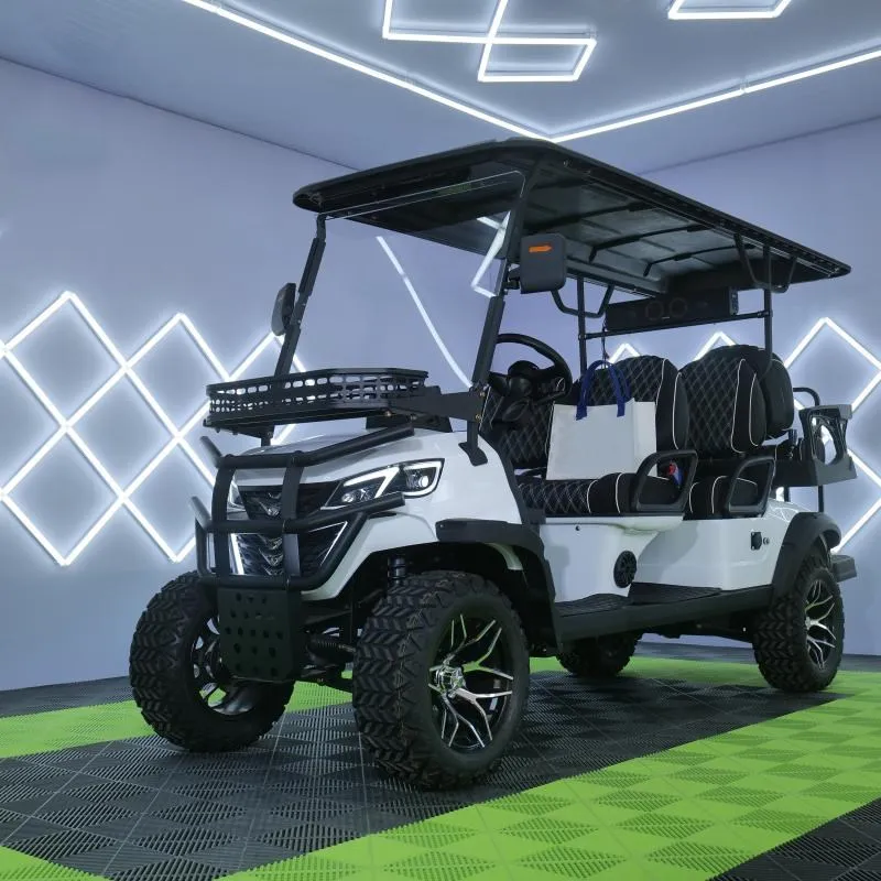Electric Road Utility Vehicle buggy car 4x4 1000cc With Lithium Battery ...