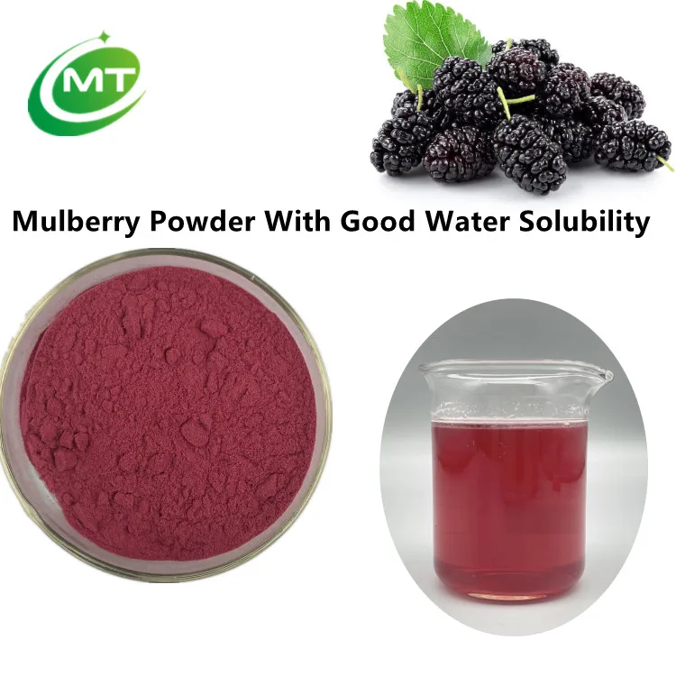 Organic Mulberry Fruit Extract - Soluble Anthocyanidins