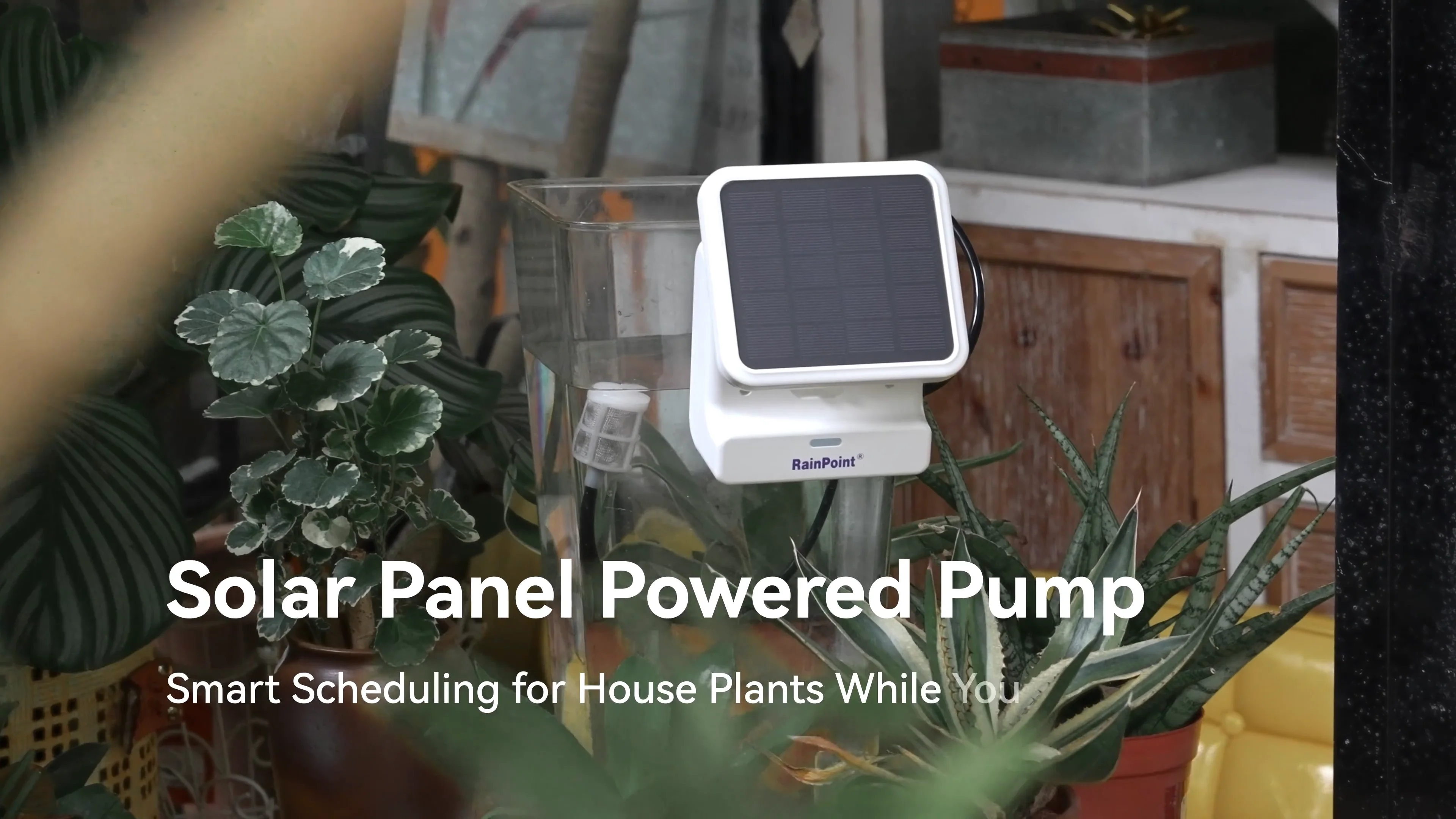 Rainpoint Wifi Solar Pump Irrigation Timer Water Timer Watering Kits