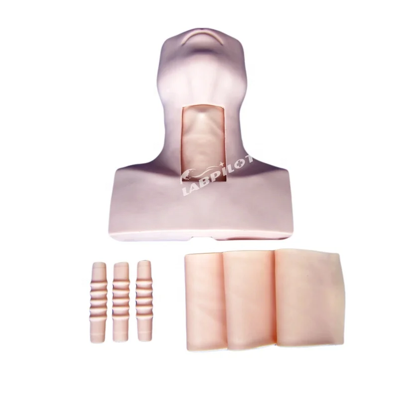 Adult Manikin Anatomy Teaching Tracheostomy Simulator Nursing| Alibaba.com